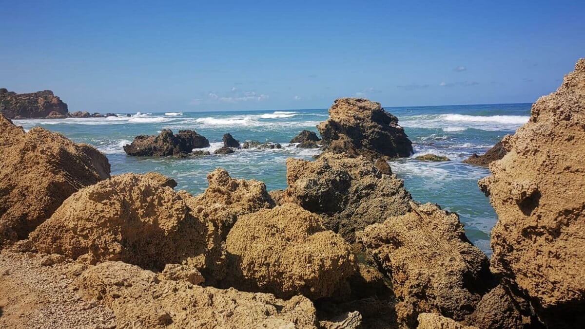 החופים הכי יפים בארץ - 10 חופים ששווה לבקר בהם בקיץ הקרוב • Tip Treks