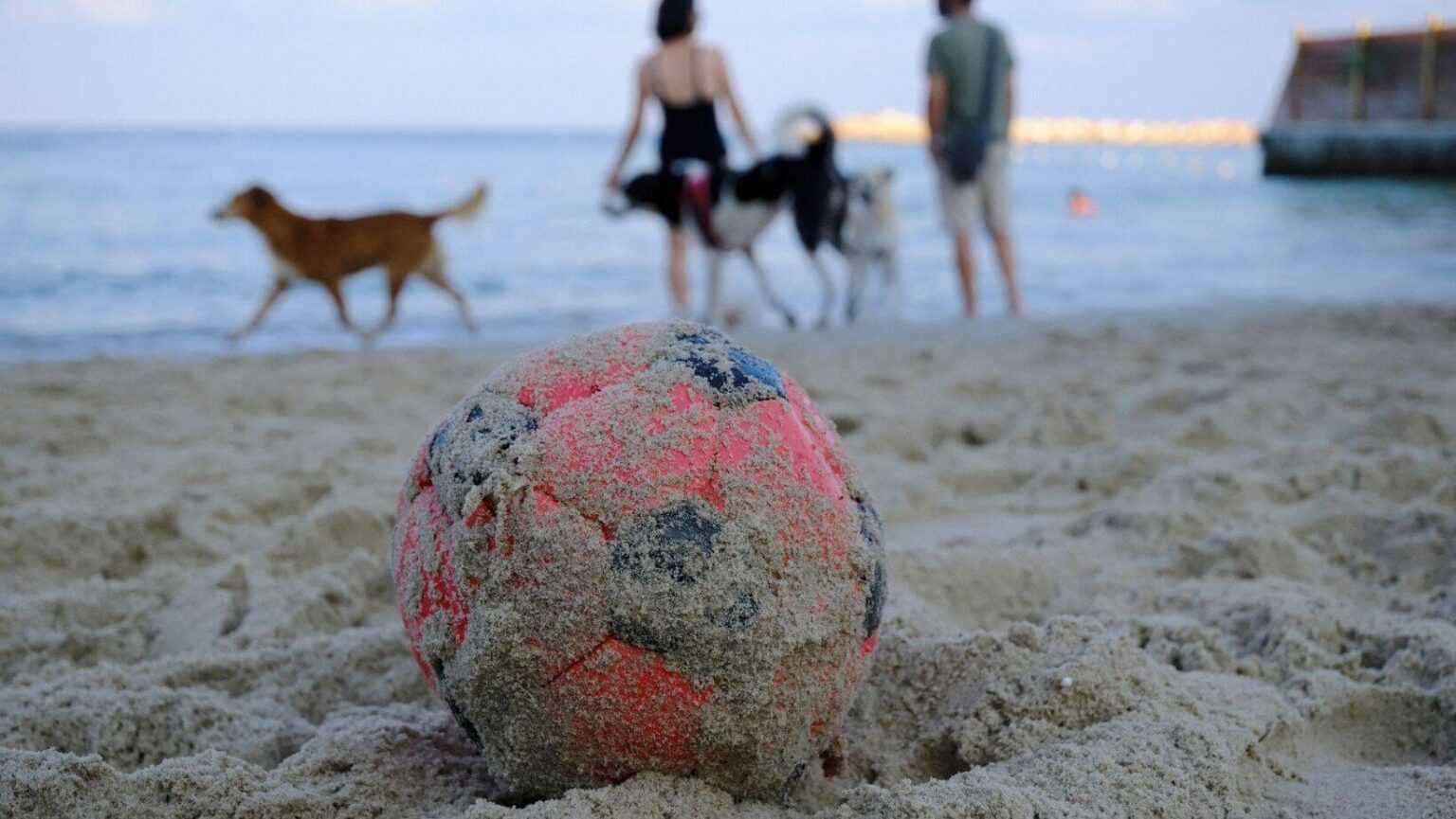 פארק גליל ים - אטרקציה בלב השכונה החדשה של הרצליה • Tip Treks